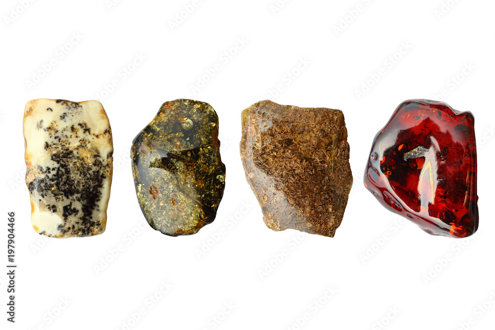 Amber. Four unique pieces of amber from the collection on a white ...