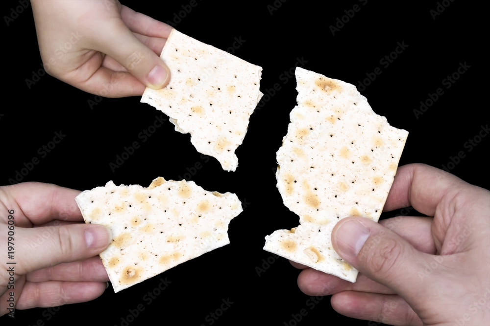 Hands holding matzah for jewish passover. An overhead photo of Jewish ...
