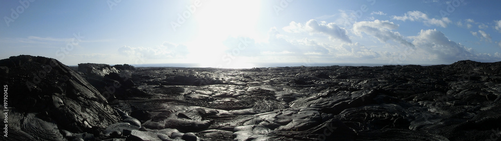 Dark Barren Wasteland