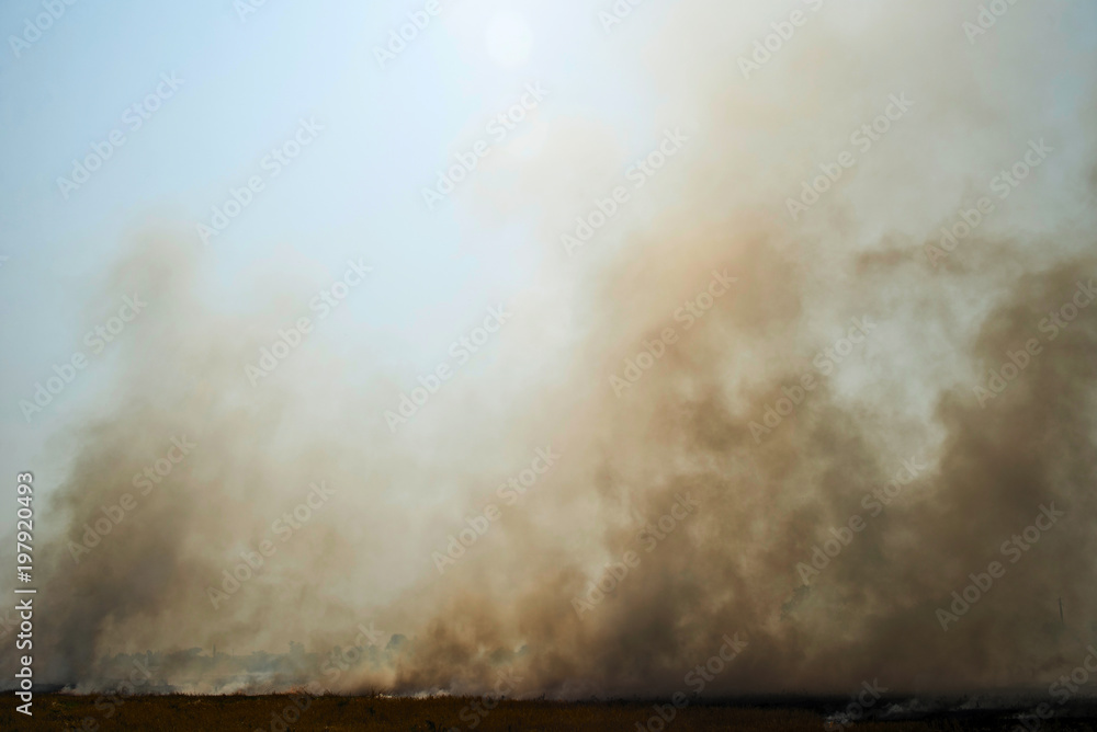 Dense smoke rising from a fire Stock Photo | Adobe Stock