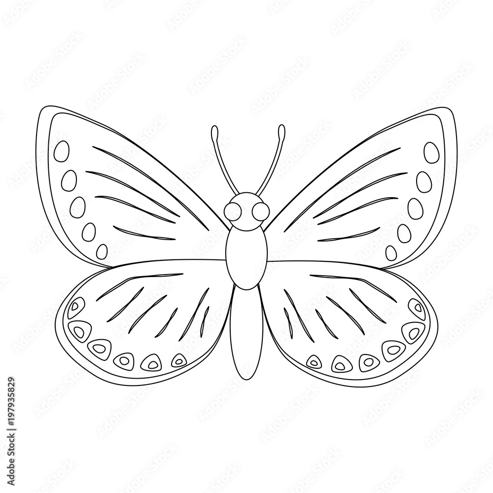 Colorless butterfly vector illustration isolated on white backgr Stock ...