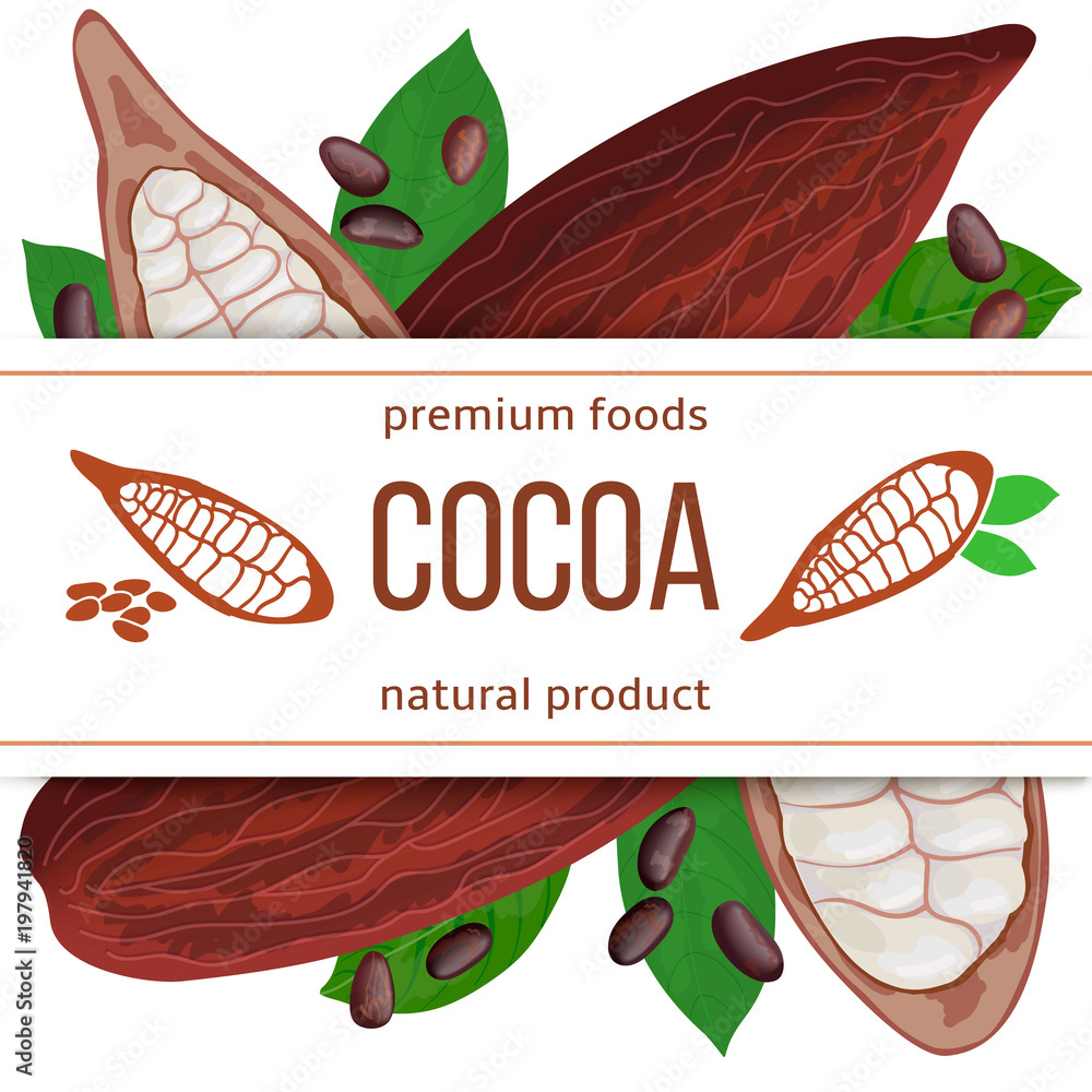 Ripe Cocoa pod fruit, beans and leaves. 3d icon vector set. Stripe with ...