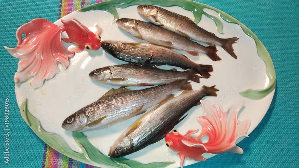 fish, seafood, fresh fish, sea fish, river fish, gray skin, lunch ...