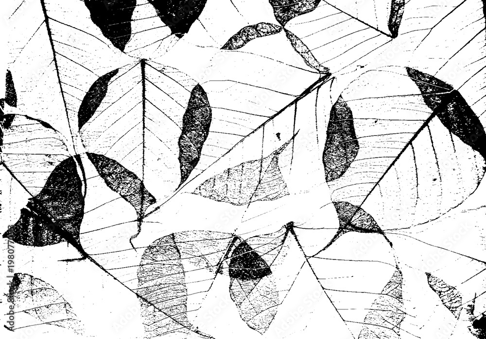 Texture of dry leaves surface. Grunge overlay. Vector template. Stock ...