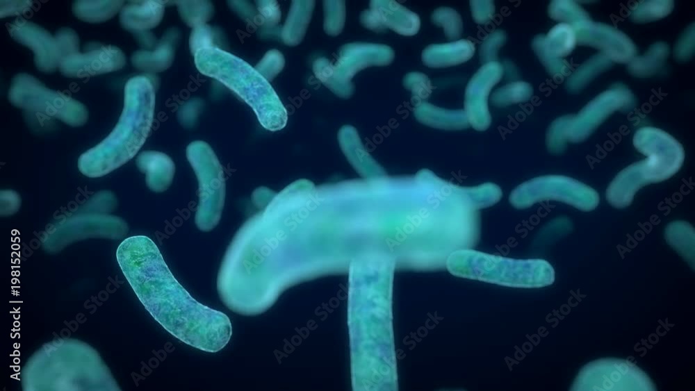 Bacteria Infection, Bacteria floating in fluid, Infection, Stylized ...