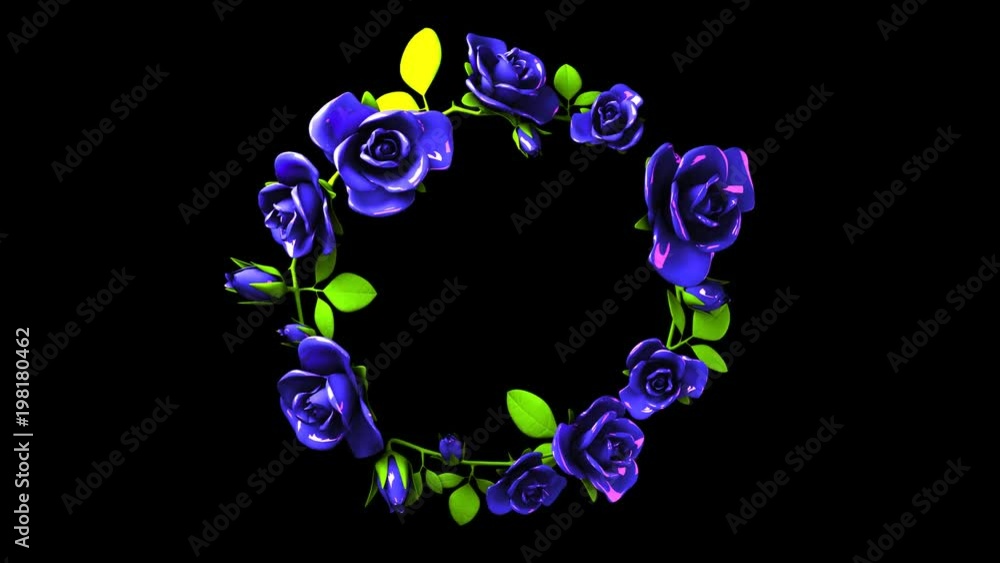 Blue roses frame on black text space.3DCG rendering animation that can ...