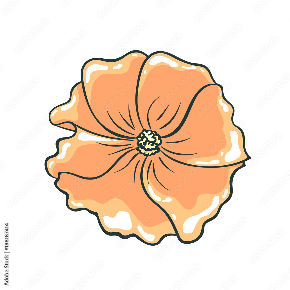 Vector color illustration of flower. Pink drawing of a plant. Isolated ...