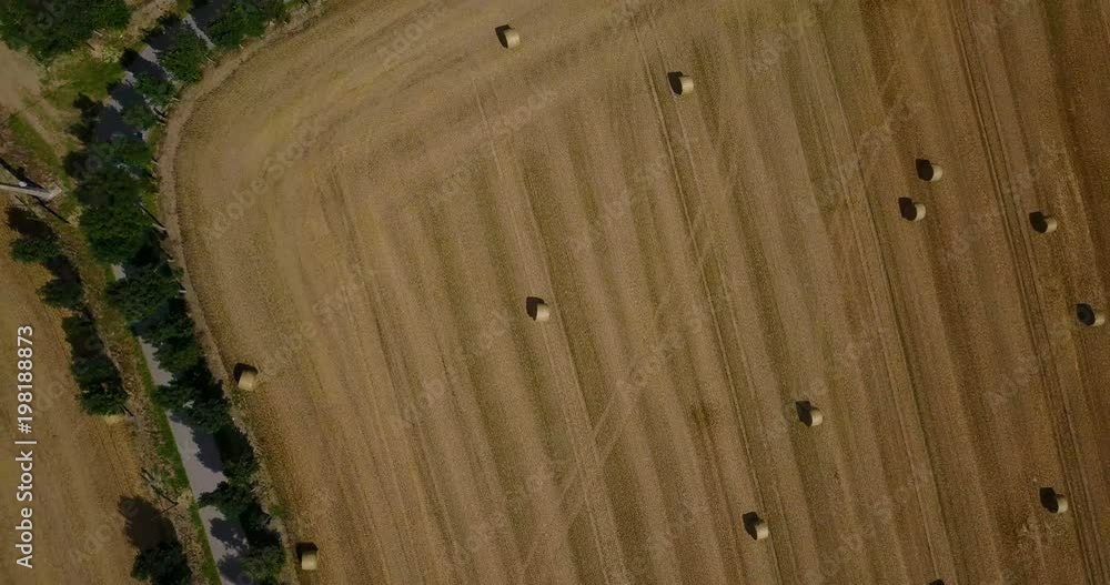 Aerial spinning view of hay field Stock Video | Adobe Stock