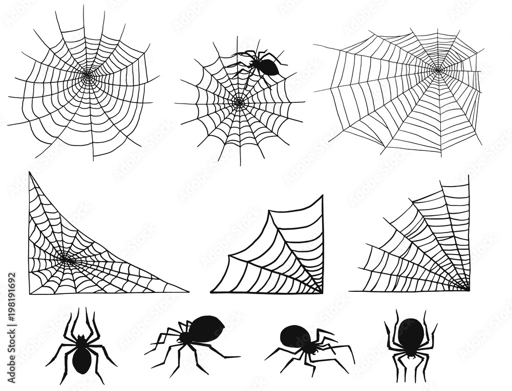 Spider Web Vector Free Download