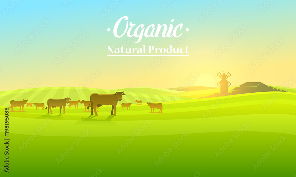 Farm Landscape With Cows