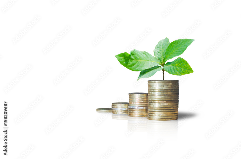 coins stack with green leaves growth up on top coin isolated on white ...