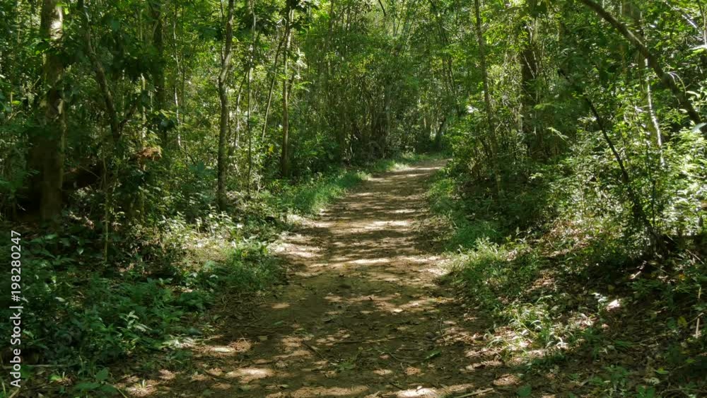 Sendero Macuco in the Iguazu National Park in Argentina. This is one of ...