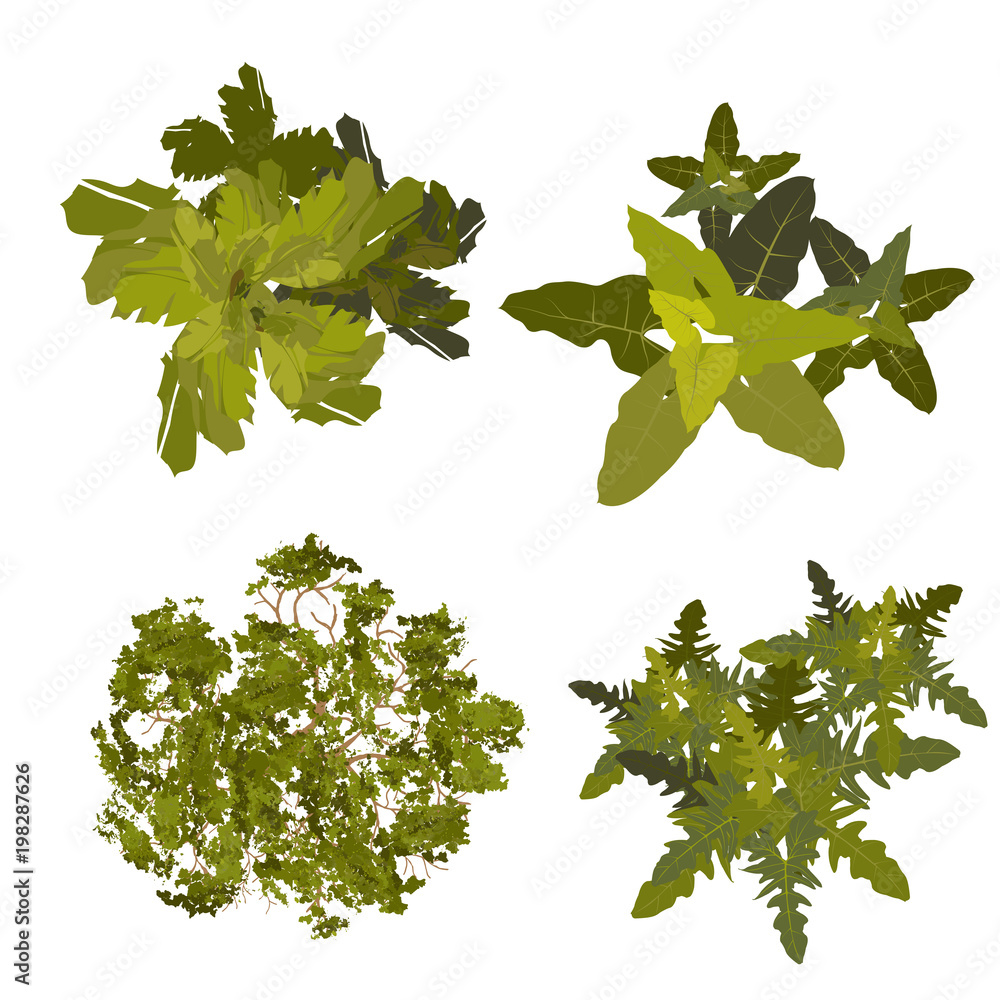 Trees top view for landscape vector illustration. Stock Vector | Adobe ...