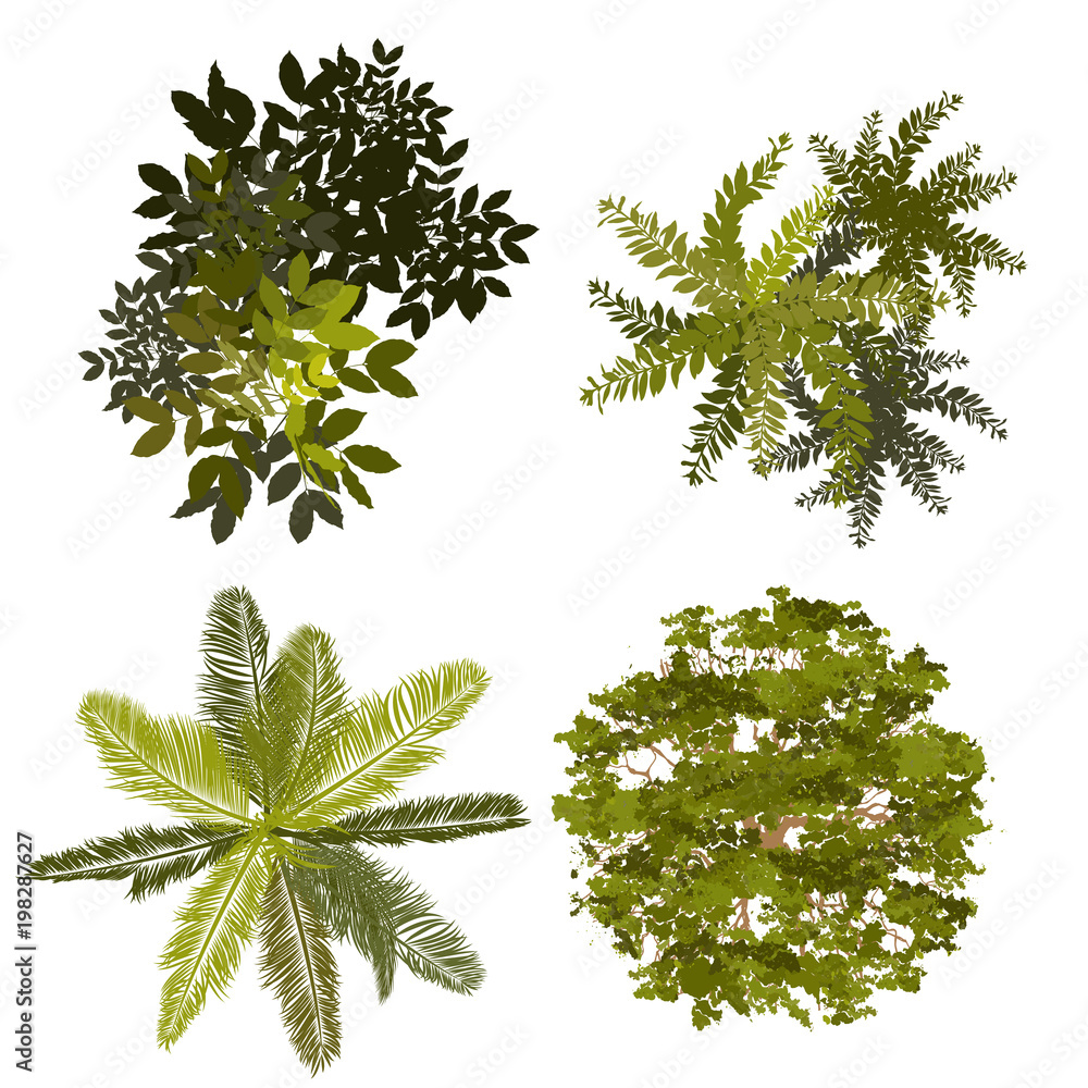 Trees top view for landscape vector illustration. Stock Vector | Adobe ...