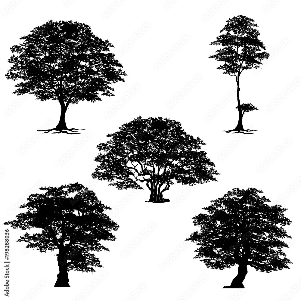 Collection tree silhouette isolated on white background. Stock Vector ...