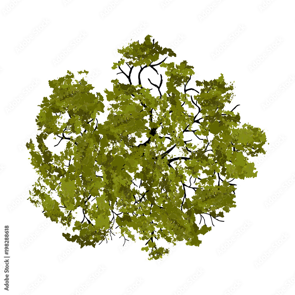 Trees top view for landscape vector illustration. Stock Vector | Adobe ...