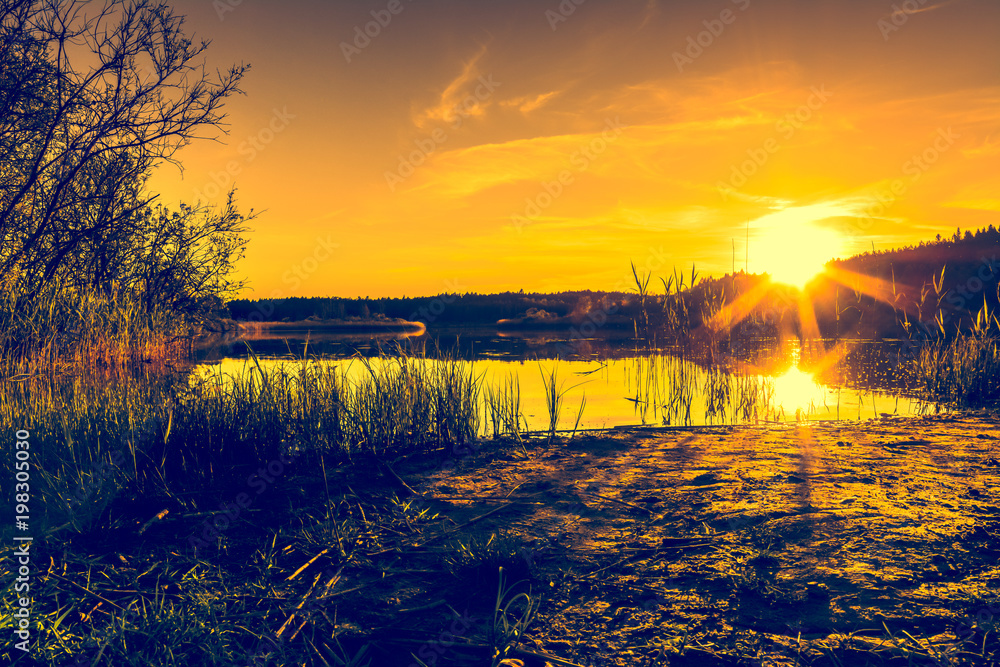 Summer Sunrise