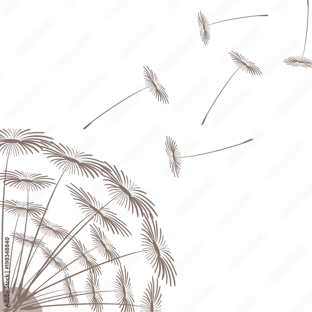 Wind Blowing Flowers Drawing