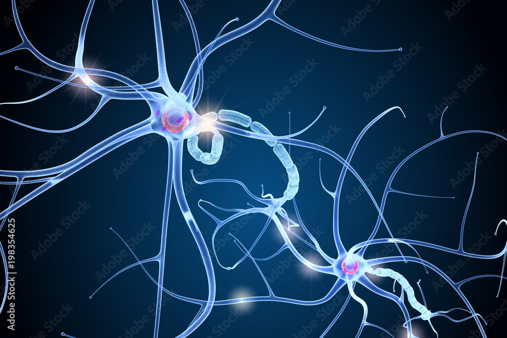 Nerve cell anatomy in details. 3D illustration Stock Illustration ...