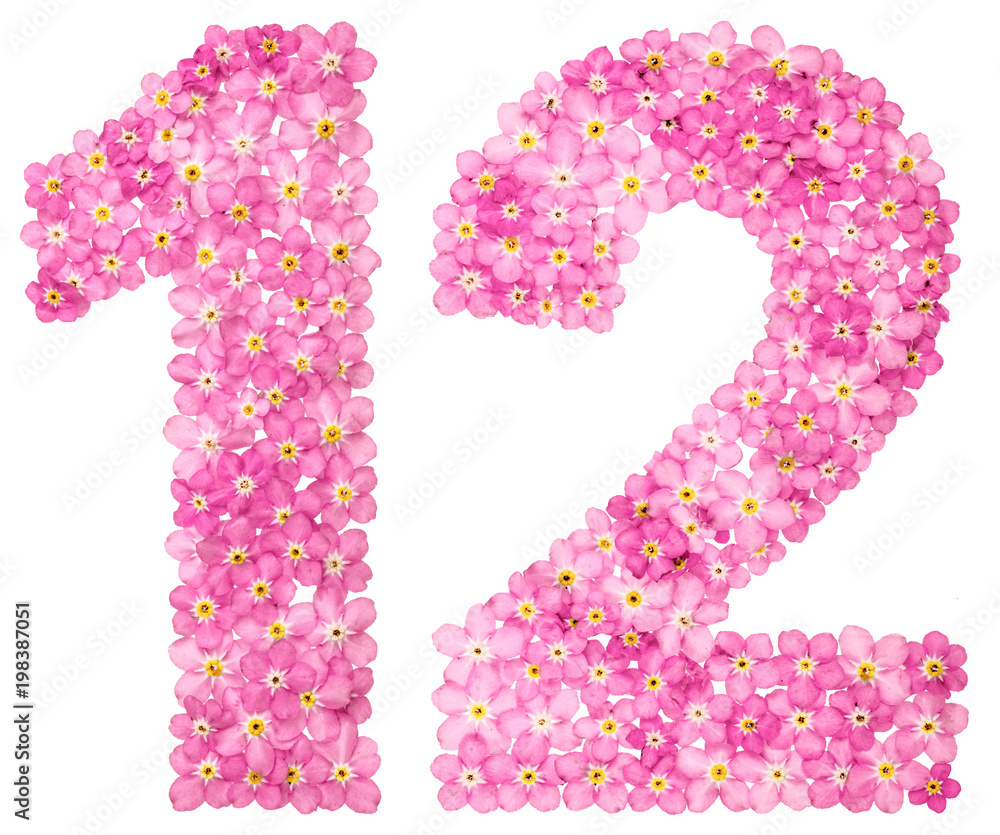 Number Twelve Clip Art