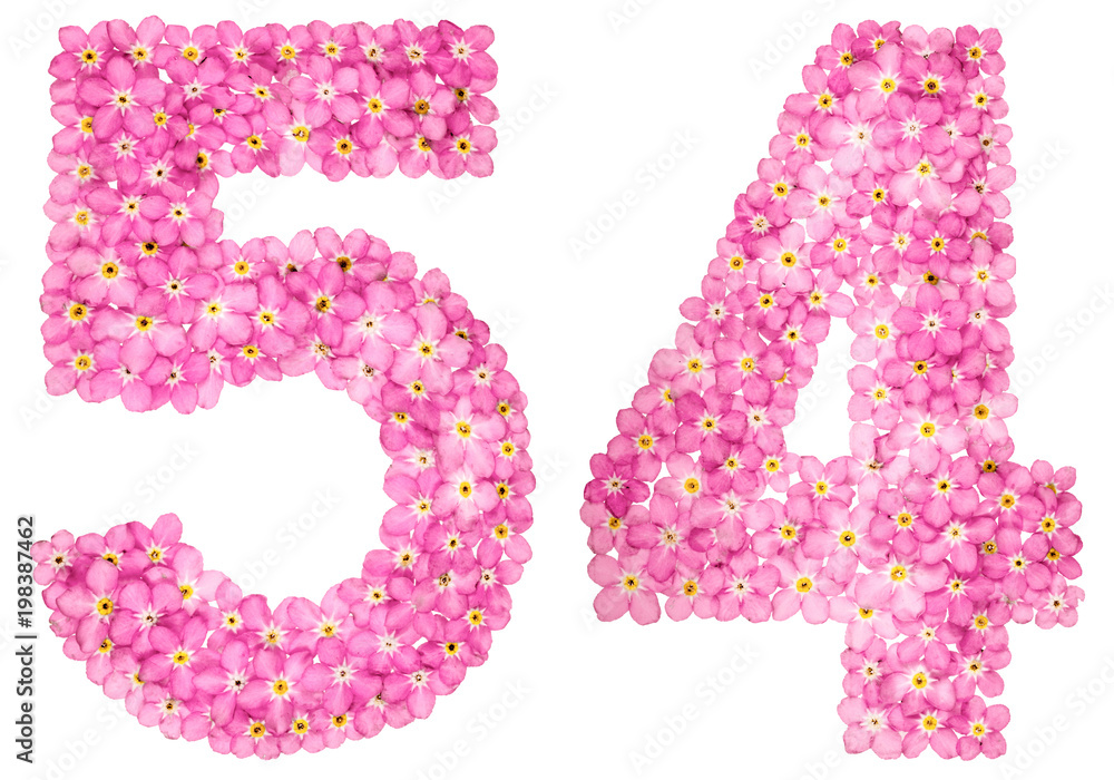 Arabic numeral 54, fifty four, from pink forget-me-not flowers ...