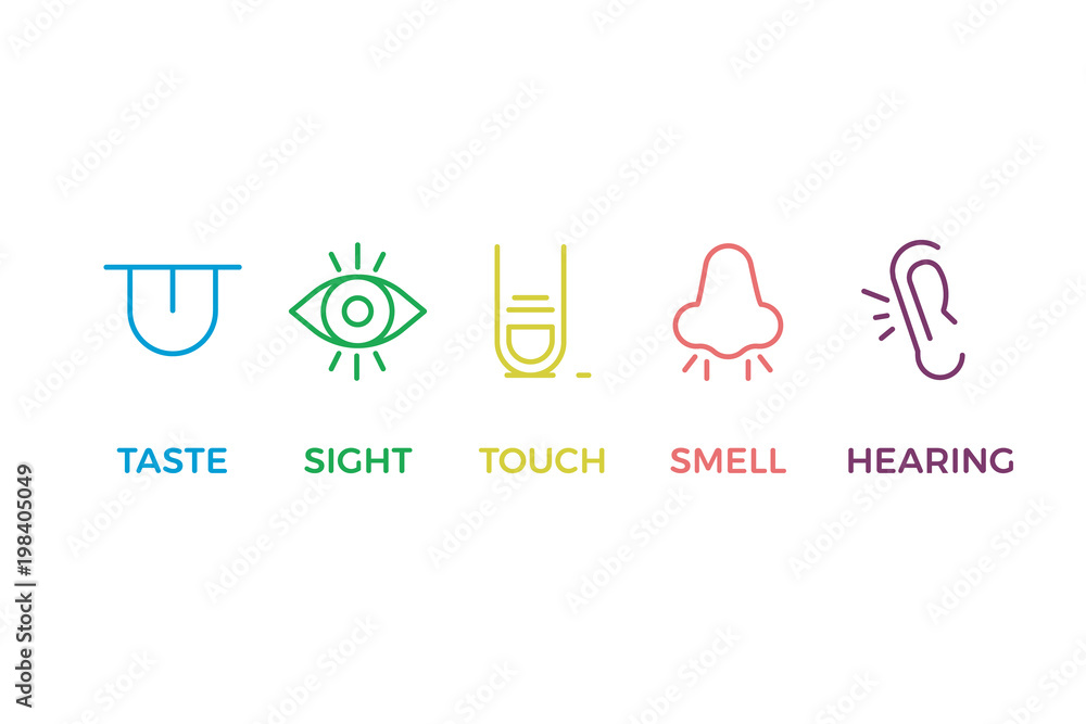 5 human senses illustrations. Taste, sight, touch, smell, hearing ...