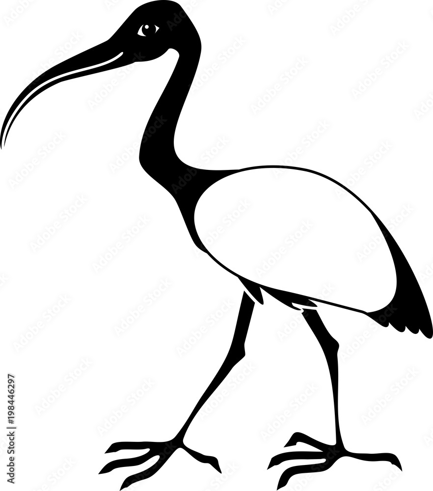 Black and white cartoon ibis on white background Stock Vector | Adobe Stock