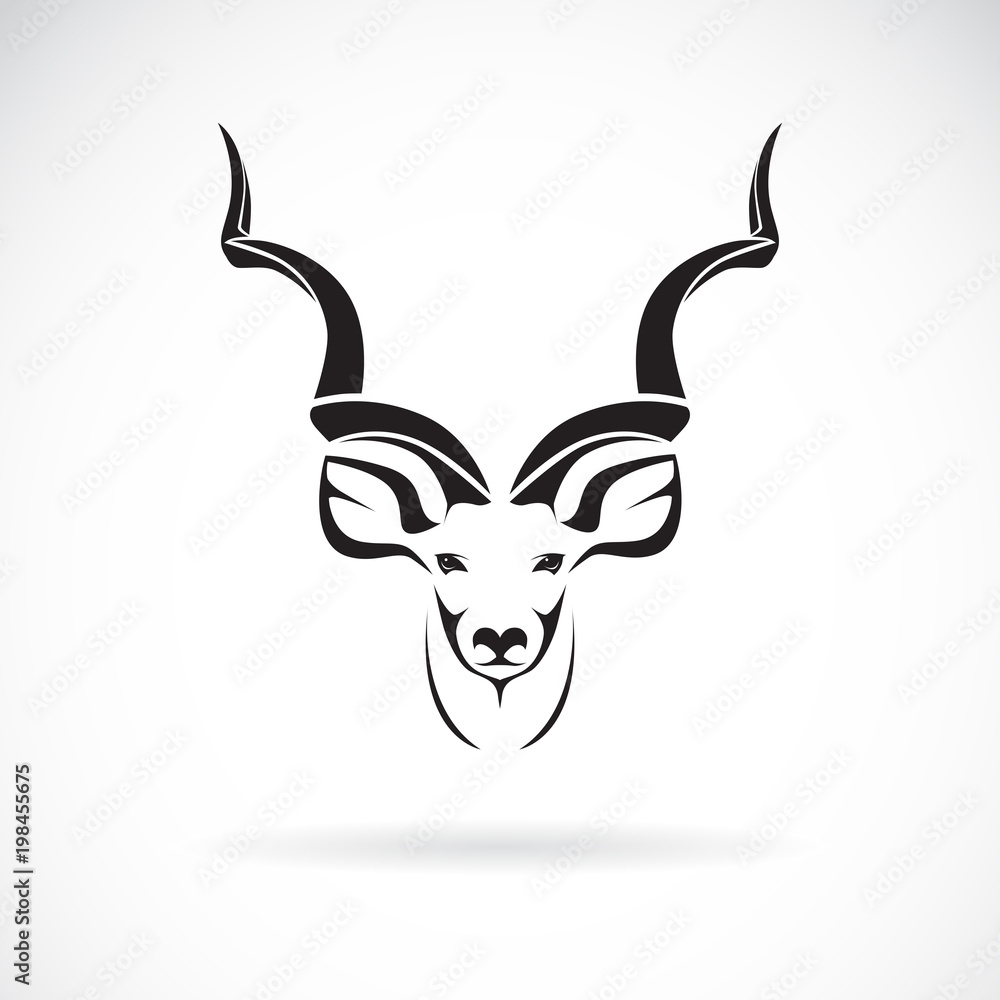 Vector of greater kudu head design on white background, Wild Animals ...