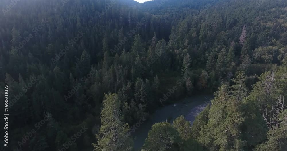 Over TALL trees fly to river Redwood, Aerial, 4K, 7s, 19of50, Forest ...