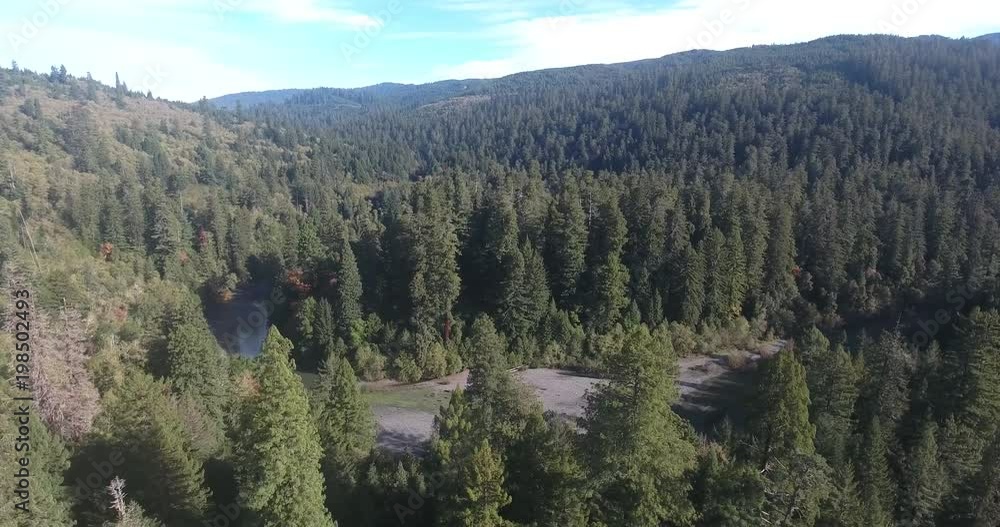 Flying to River Redwood Forest, Aerial, 4K, 19s, 34of50, Forest Trees ...