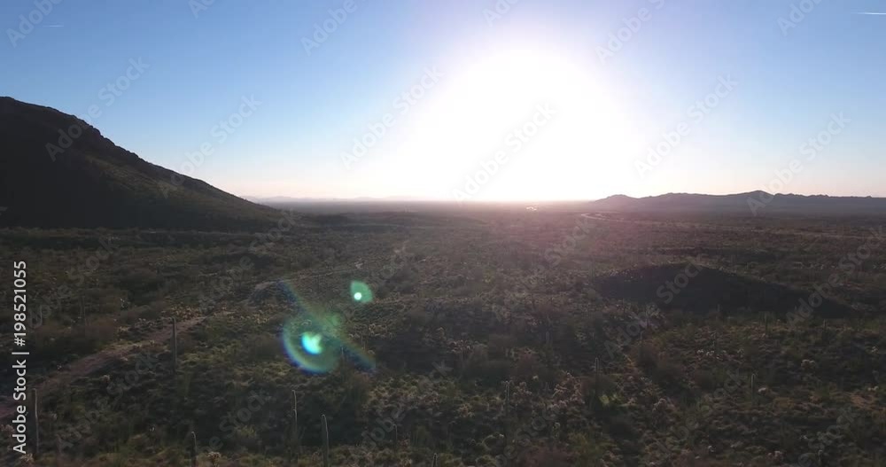 Cactus field lens flare pan down- Drone Aerial 4K Arizona desert cactus ...