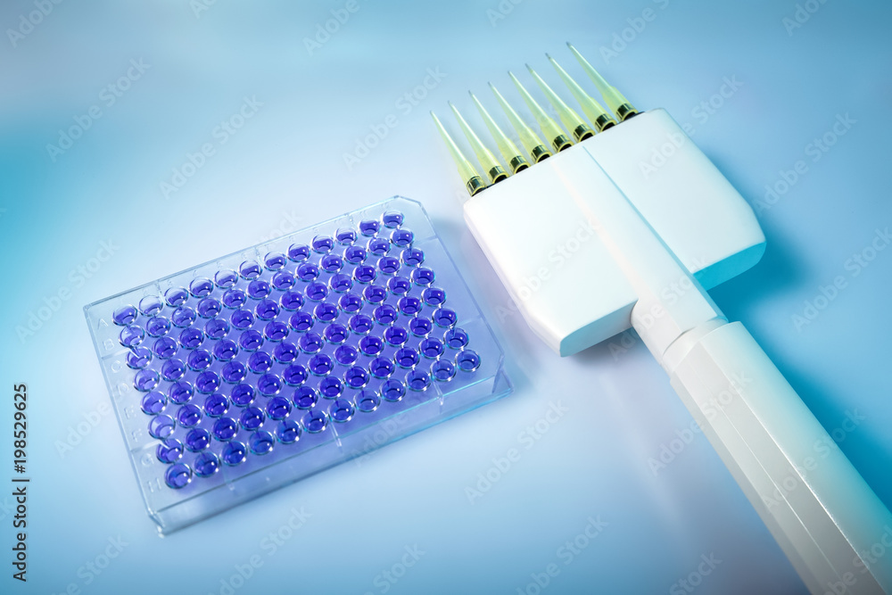 Multichannel pipette and microplate with 96 wells in the laboratory of ...