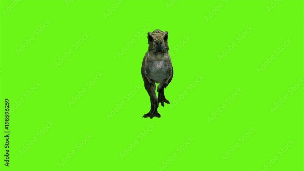 T Rex Tyrannosaur Dinosaur animation on green screen. GI realistic ...