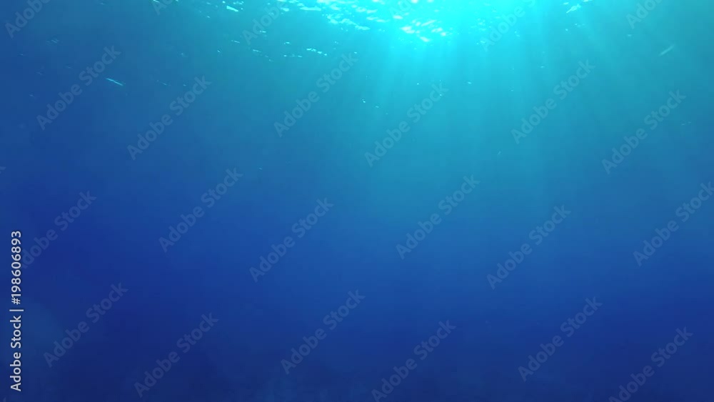 Sunlight rays shining through ocean surface, Underwater scene of ...