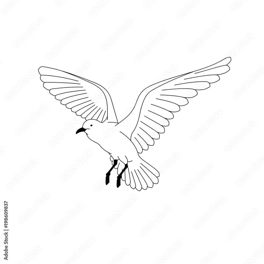 bird flying. illustration vector. hand drawing line art of animal. bird ...