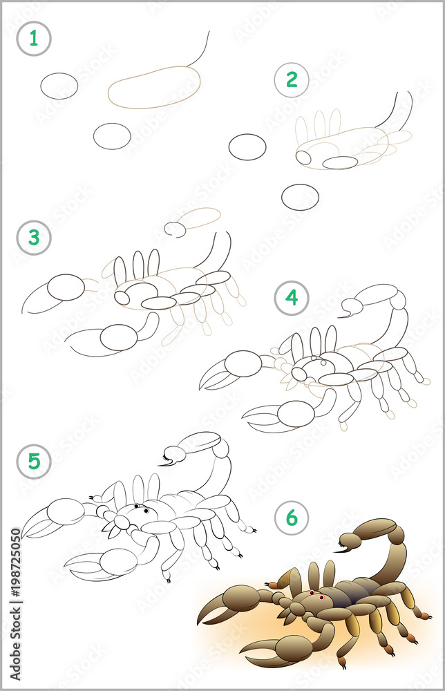 Page shows how to learn step by step to draw a scorpion. Developing ...