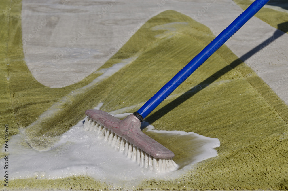 Washing carpet with brush Stock Photo | Adobe Stock