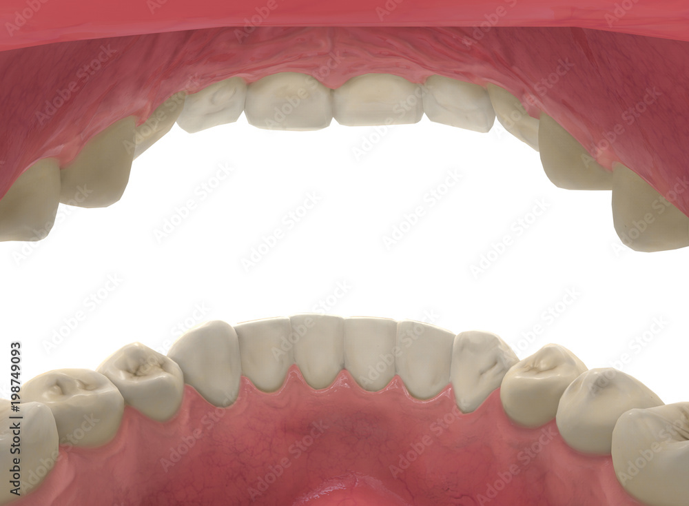 3d rendering. Close up inside of human mouth with yellow teeths on ...