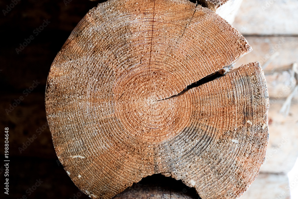 the end of a log in an old house, part of a wooden house in the village ...