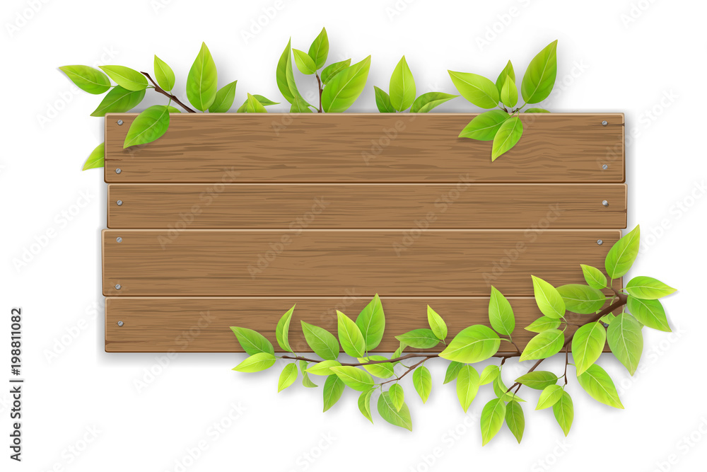 Empty wooden sign with space for text on a background of tree branches ...