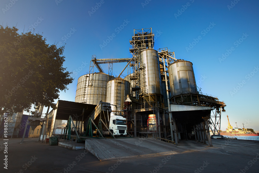 Unloading grain truck at elevator on elevating hydraulic platform ...