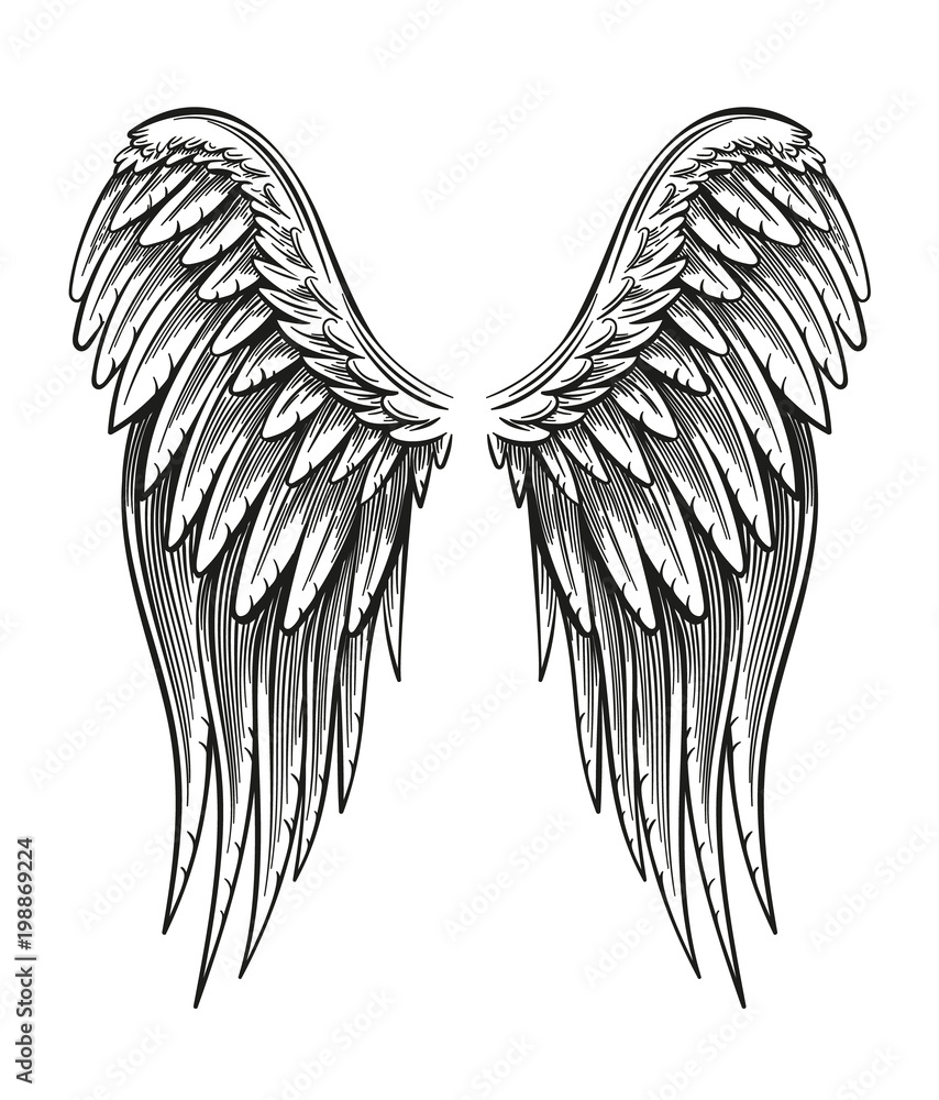 Hand Drawn Wings Stock Vector | Adobe Stock