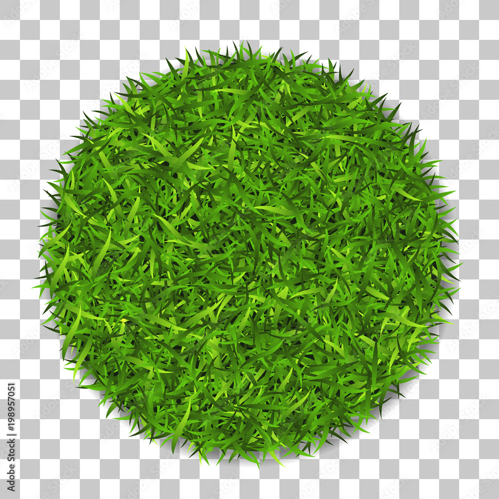 Grass circle 3D. Green plant, grassy round field, isolated white ...