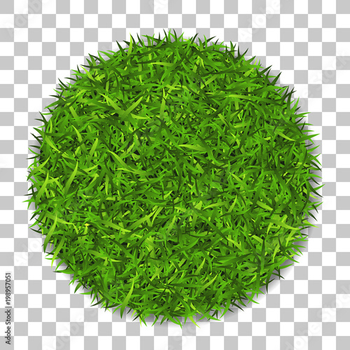 Grass circle 3D. Green plant, grassy round field, isolated white ...