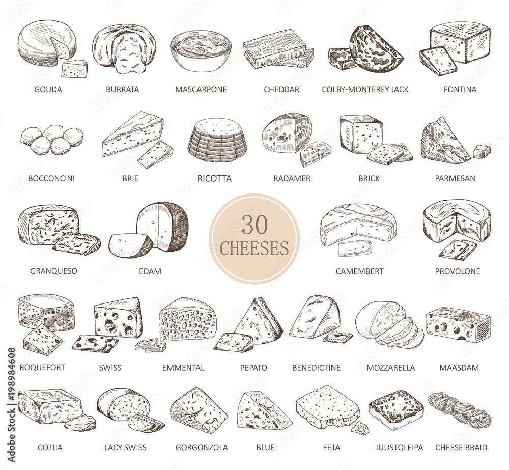 Set of isolated sketches of cheese types Stock Vector | Adobe Stock
