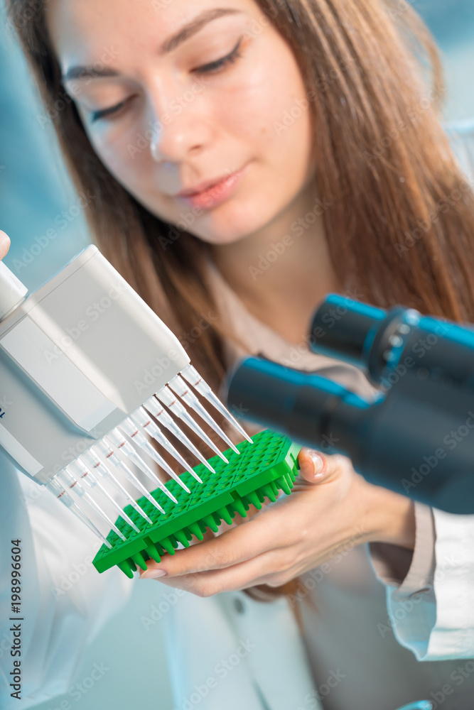 student woman with multi pipette and other PCR items in microbiological ...