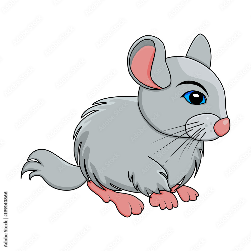 Cartoon chinchilla rodent isolated on white background Stock Vector ...