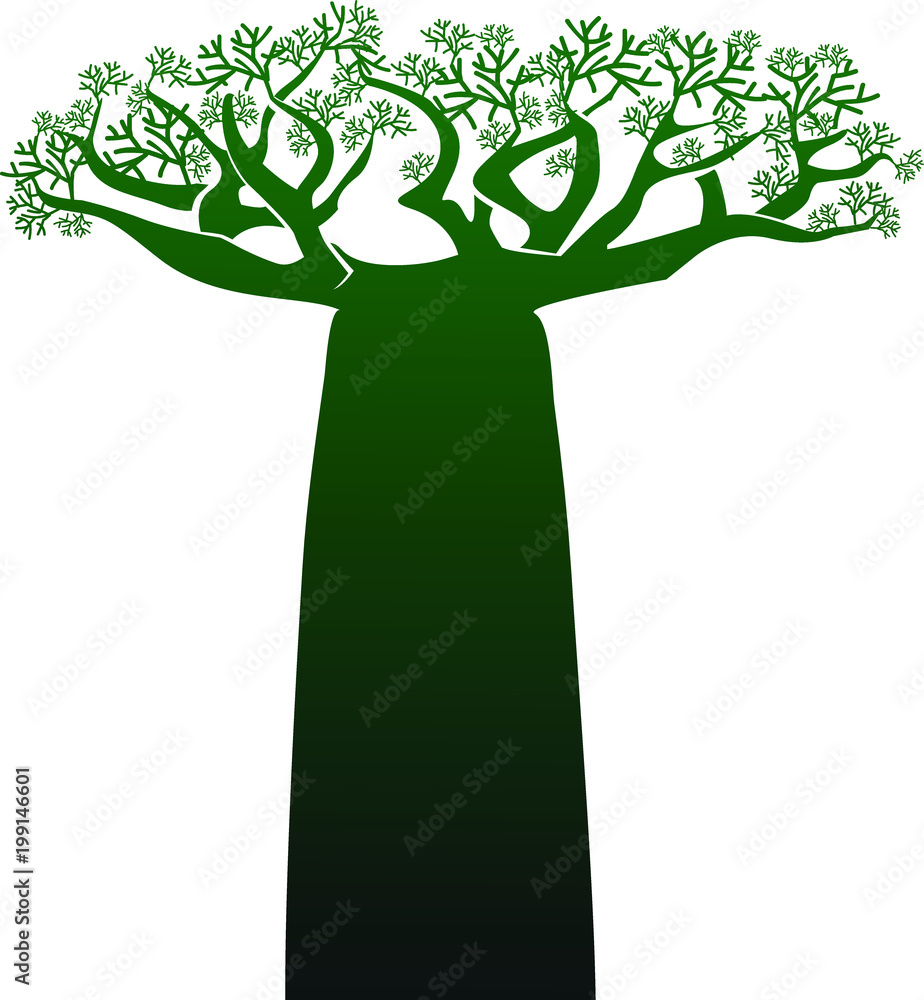 African baobab tree on a transparent background. Vector. Stock Vector ...