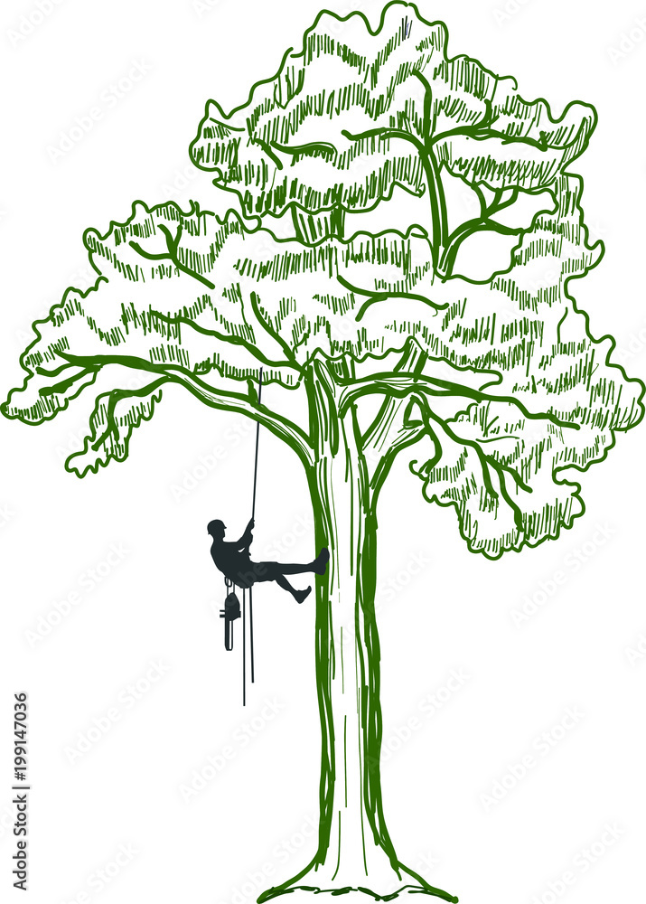 A picture of a tree with a climber on a transparent background. Vector ...