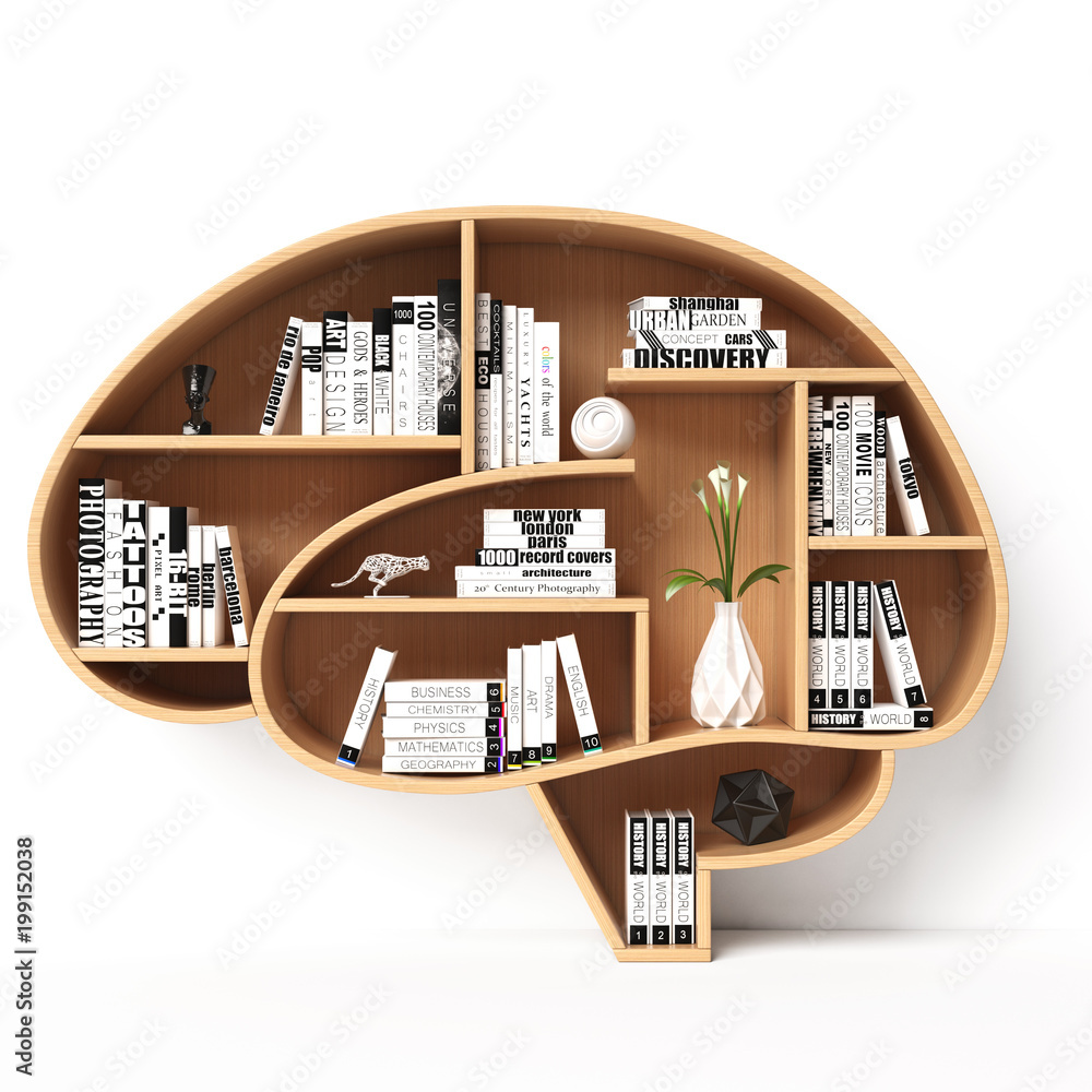 Bookshelves in the shape of human brain, intelligence book shelf ...